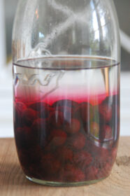 Slåensnaps - kryddersnaps fra naturen | opskrift på hjemmelavet snaps