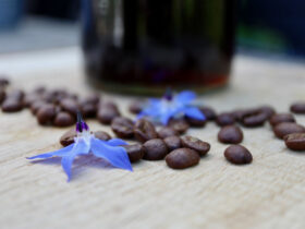 Iskaffe – opskrift på hjemmelavet iskold kaffe | Frahaventilmaven