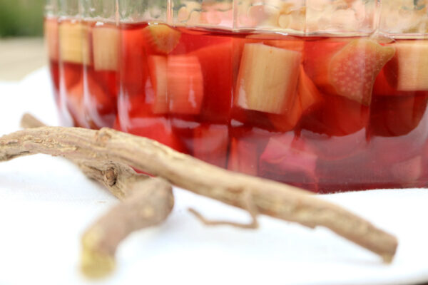 Rabarbersnaps med lakridsrod | Opskrift på kryddersnaps