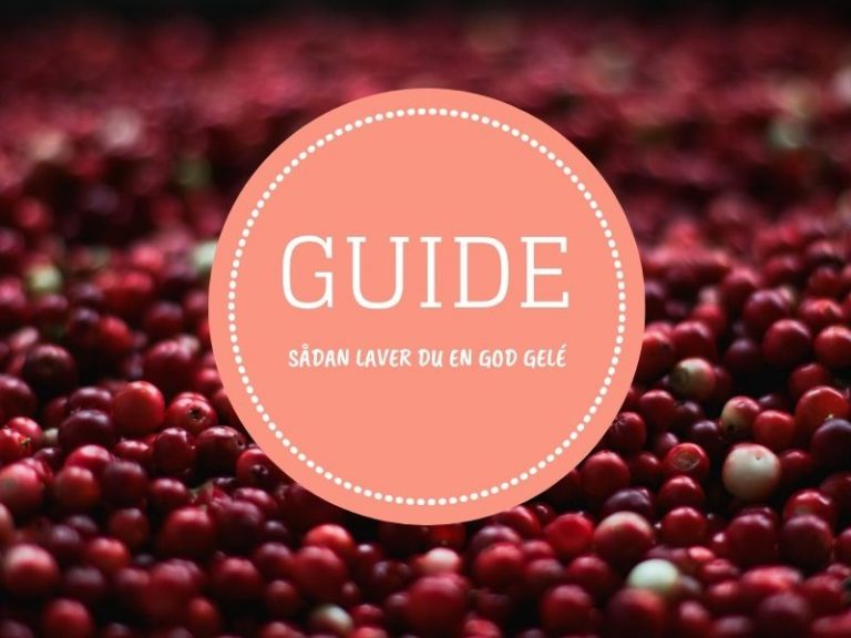 Sådan laver du gelé – en guide | Frahaventilmaven