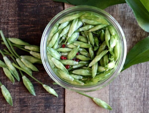 Tørrede hyben | Frahaventilmaven