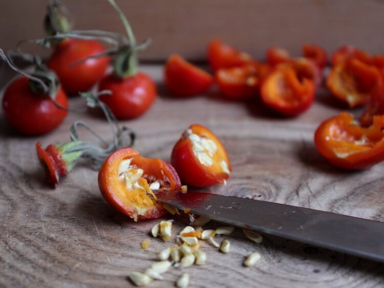 Tørrede hyben | Frahaventilmaven