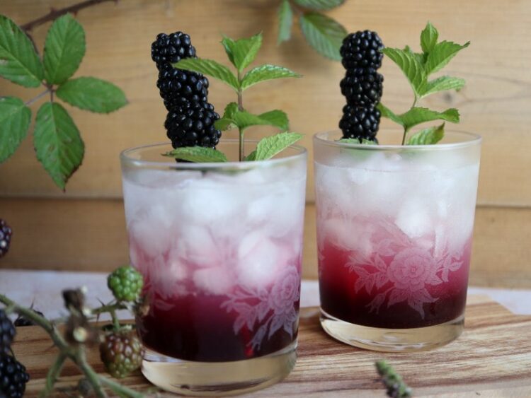 Gin Bramble | Frahaventilmaven
