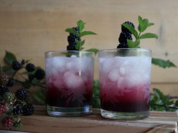 Opskrifter med brombær | Frahaventilmaven