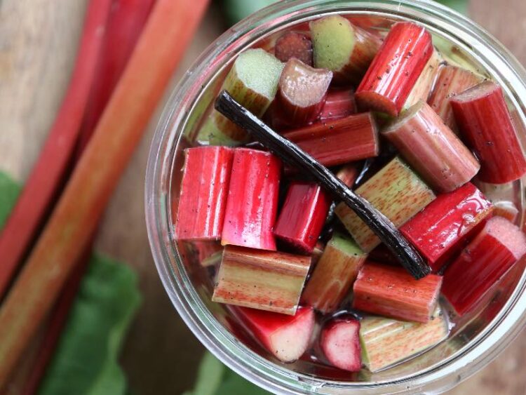 Råsyltede rabarber | Opskrift på råmarinerede rabarber med vanilje