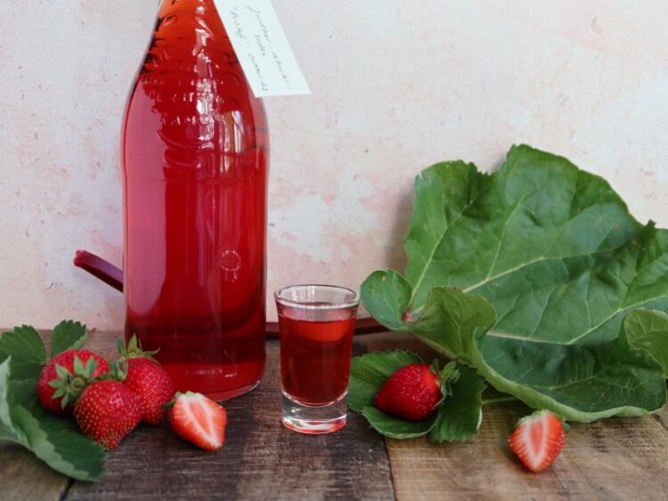 Jordbær-rabarbervodka | Opskrift på hjemmelavet rød vodka