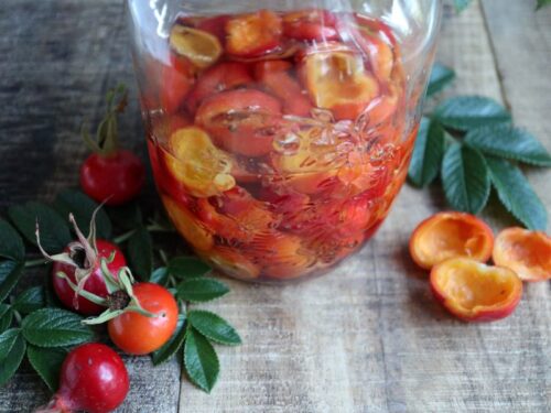 Hybensnaps | Opskrift på kryddersnaps med hyben