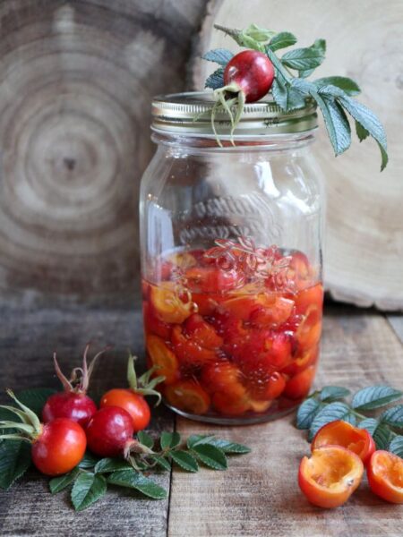 Hybensnaps | Opskrift på kryddersnaps med hyben