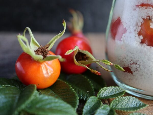 Saltede hyben | Opskrift på delikatesse med hyben