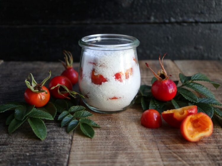 Saltede hyben | Opskrift på delikatesse med hyben